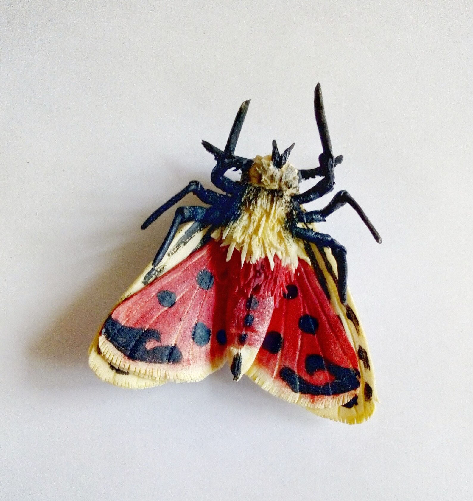 Fake realistic moth sculpture/Red tiger moth/Moth lover gift/ | Etsy