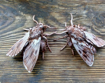 Realistic Faux Taxidermy | Etsy