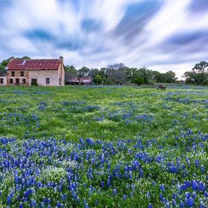 Bluebonnet House Sunrise - Etsy