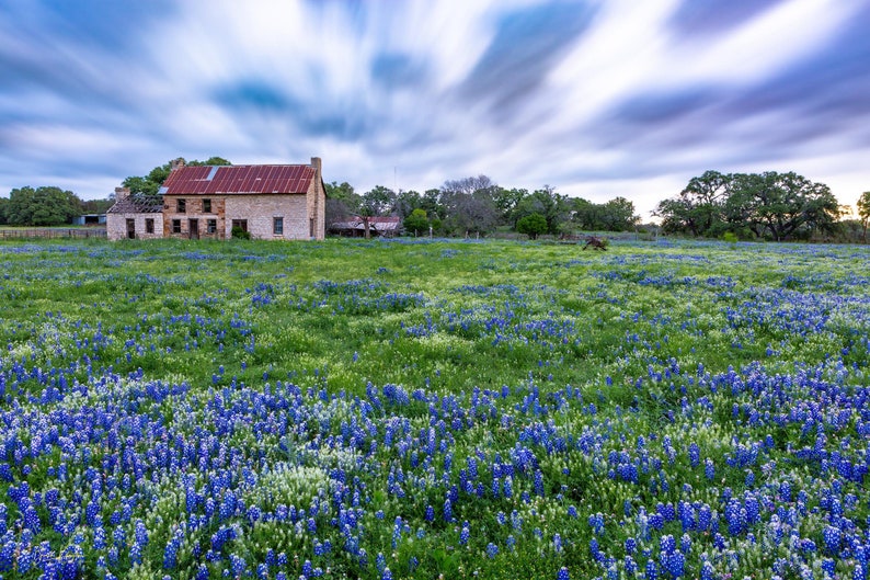 Bluebonnet House Sunrise - Etsy