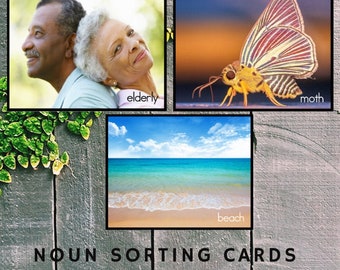 NOUN SORTING | Nouns Picture Cards | Language | Vocabulary | Printable ...