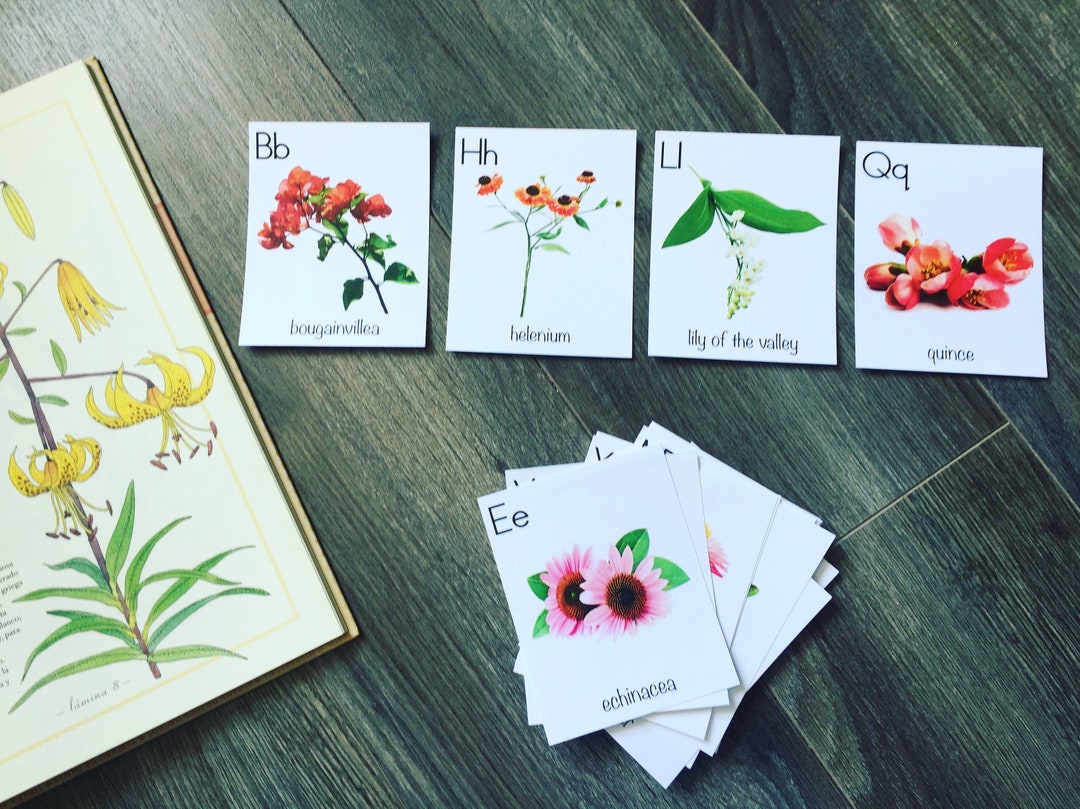 Flower Alphabet Cards in English - Etsy