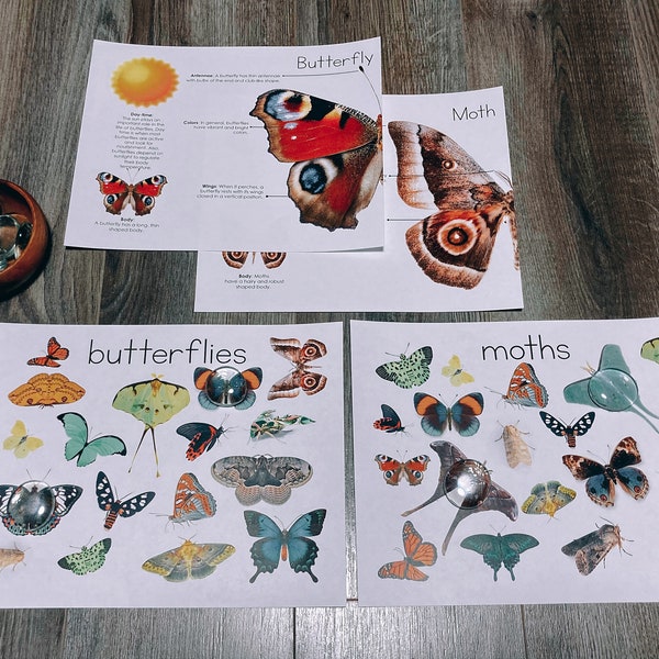 Moths - Etsy