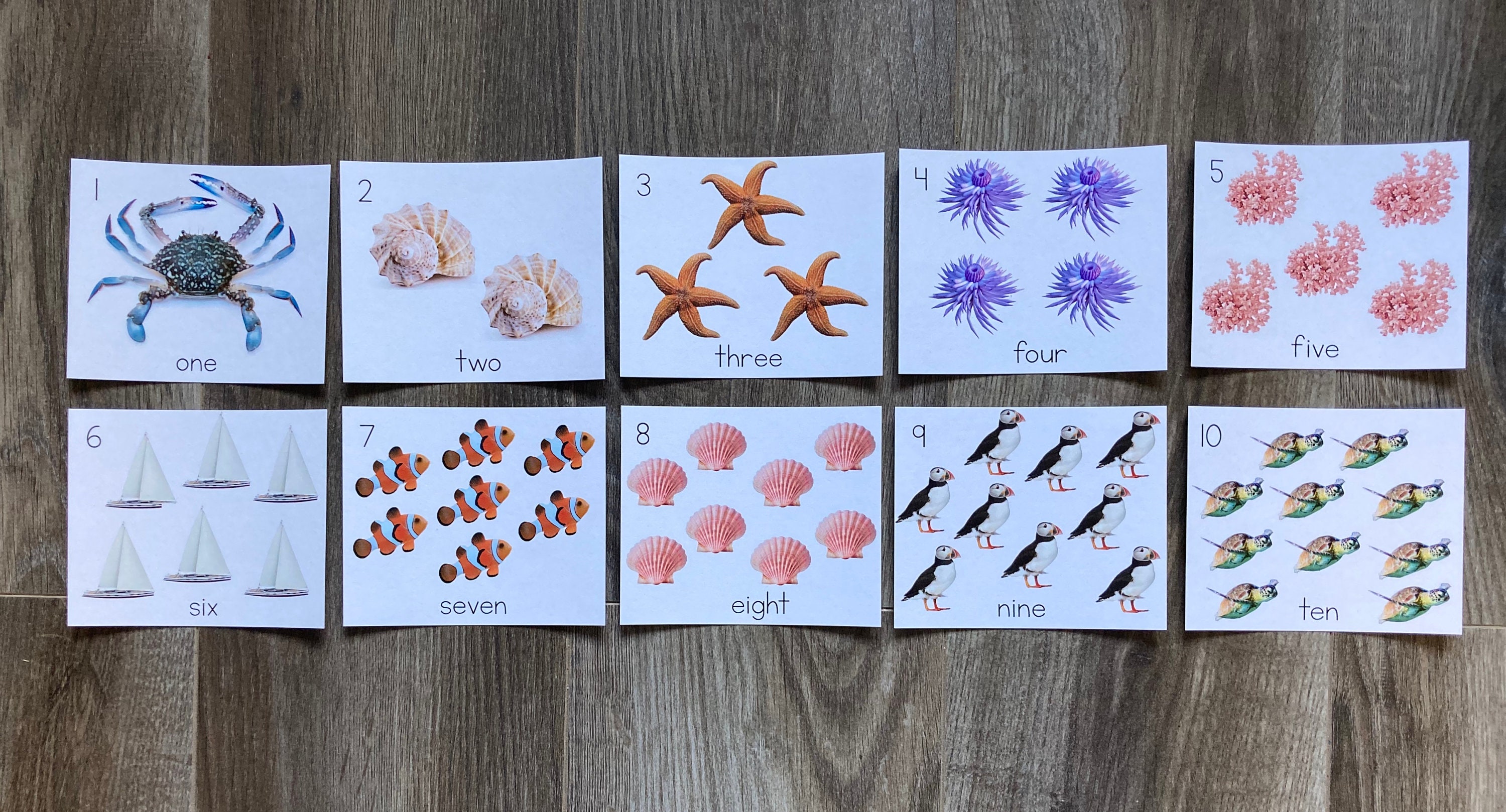 Sea Life Counting Cards (english) - Etsy