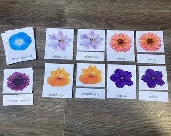 Hawaii Flowers & Map Printable Activity, Flower 3 Part Cards, Tropical ...