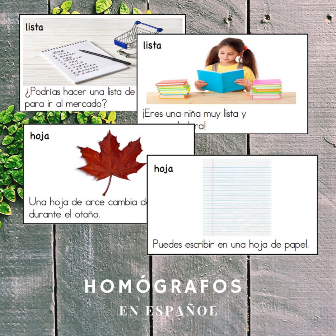 Homógrafos - Homographs in Spanish (cards & Activity Booklet) - Etsy