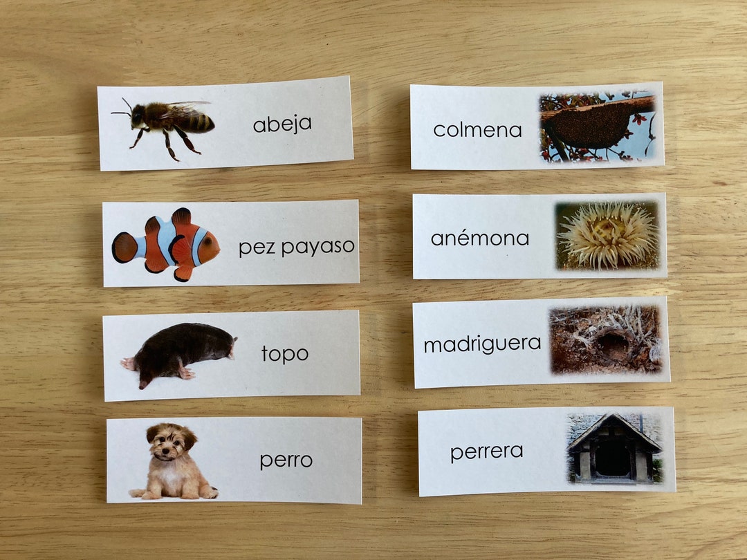 Animals and Their Homes Spanish/animales Y Sus Casas (the Noun/el ...