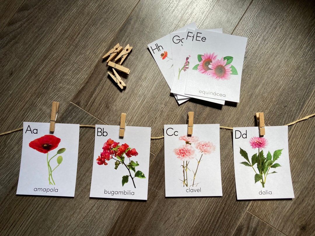 Flower Alphabet Cards Spanish (print) - Etsy