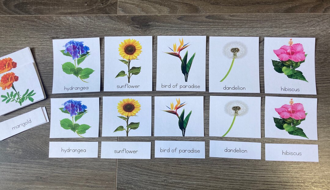 Flowers 3-part Cards (english) - Etsy