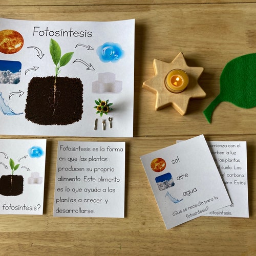 Photosynthesis Learning Pack spanish - Etsy