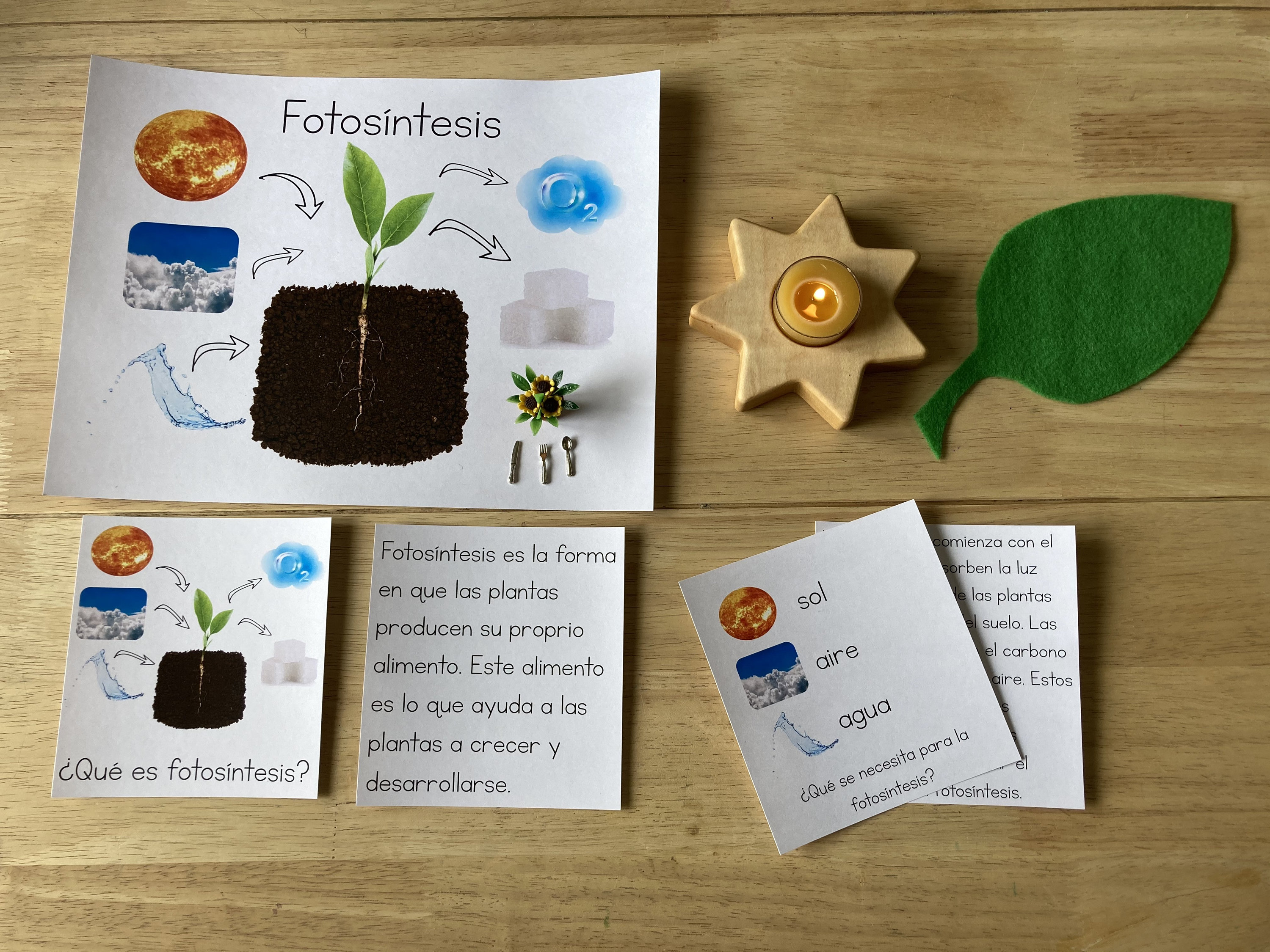 Photosynthesis Learning Pack (spanish) - Etsy