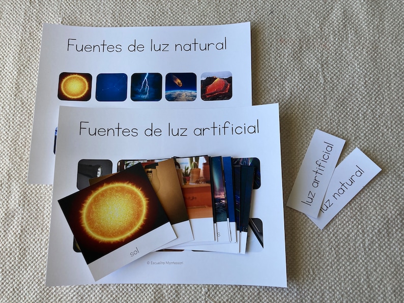 Natural Light and Artificial Light Sorting Activity (spanish) - Etsy