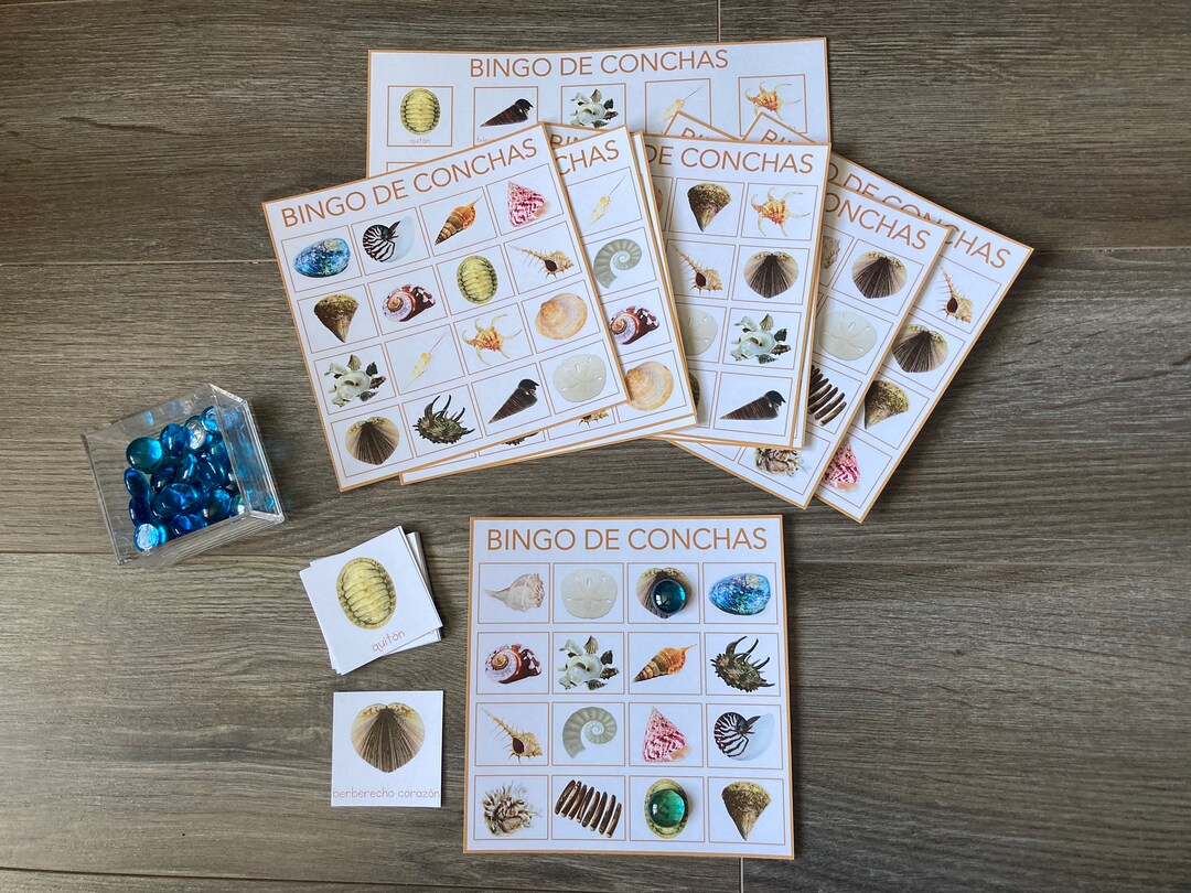 Seashell Bingo Game in Spanish - Etsy