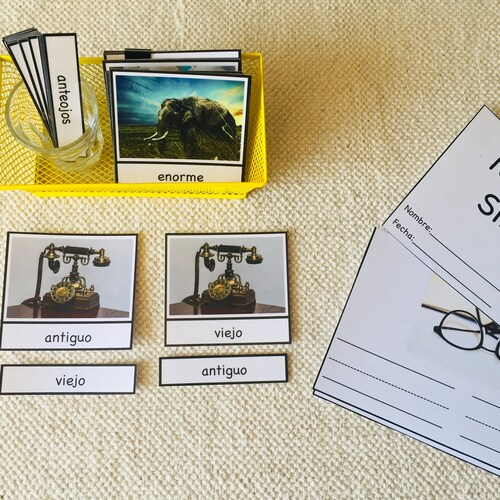 Rhyming Cards in Spanish/ Tarjetas De Rimas - Etsy