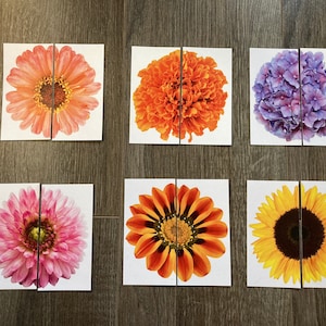 Flower Symmetry Puzzles - Etsy