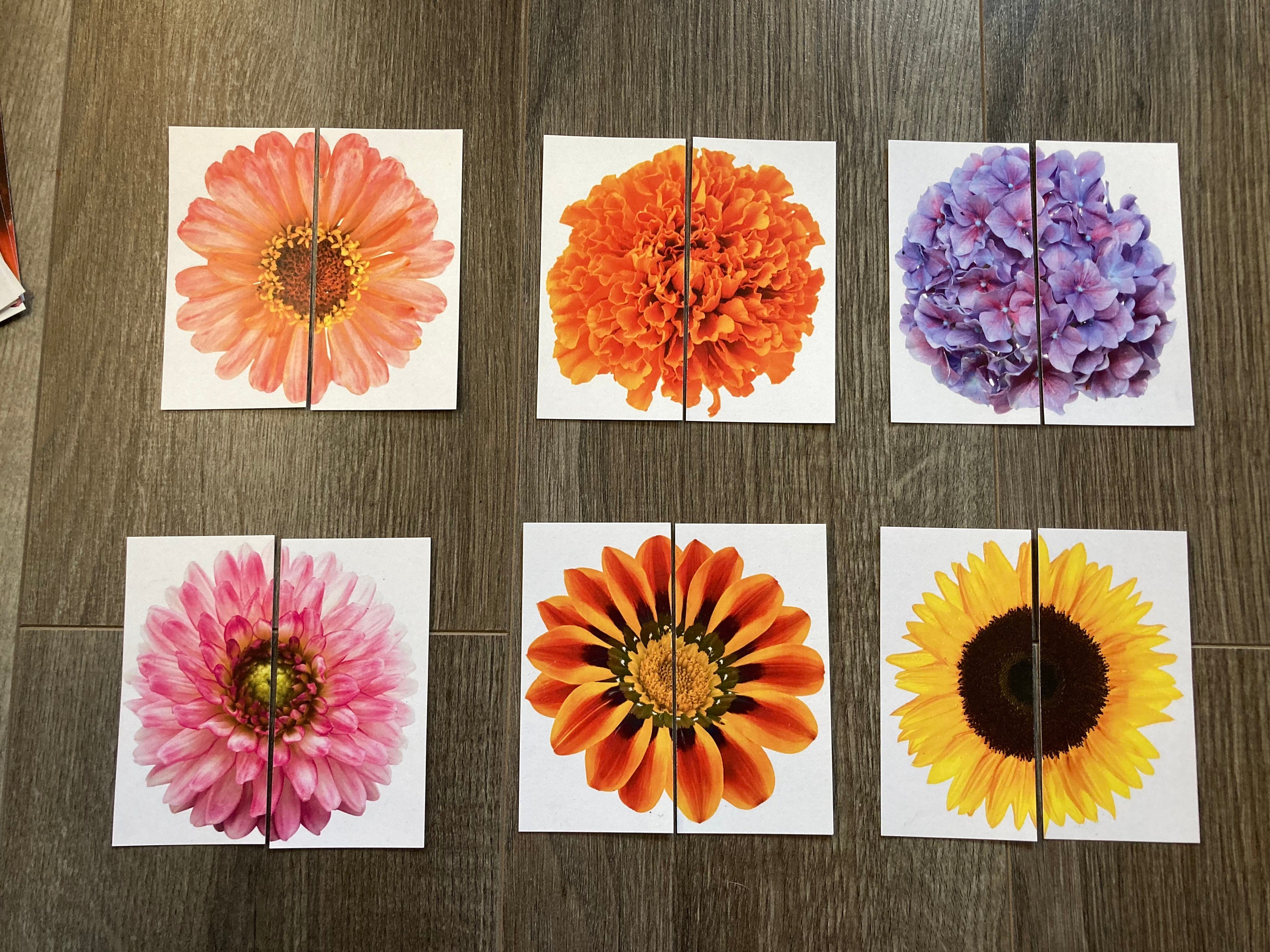 Flower Symmetry Puzzles - Etsy
