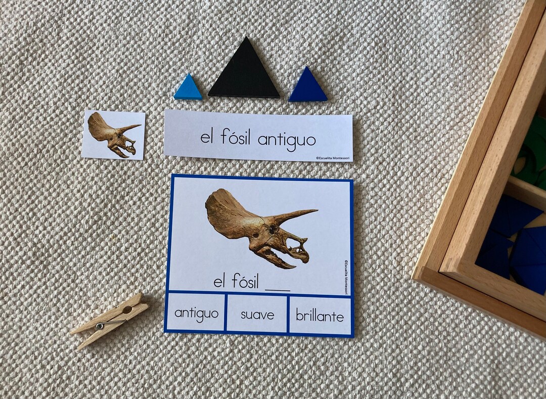 Adjective Activity Pack - Spanish - Etsy