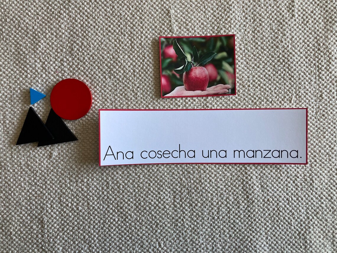 Verb Sentence Strips & Picture Images in Spanish (montessori) - Etsy