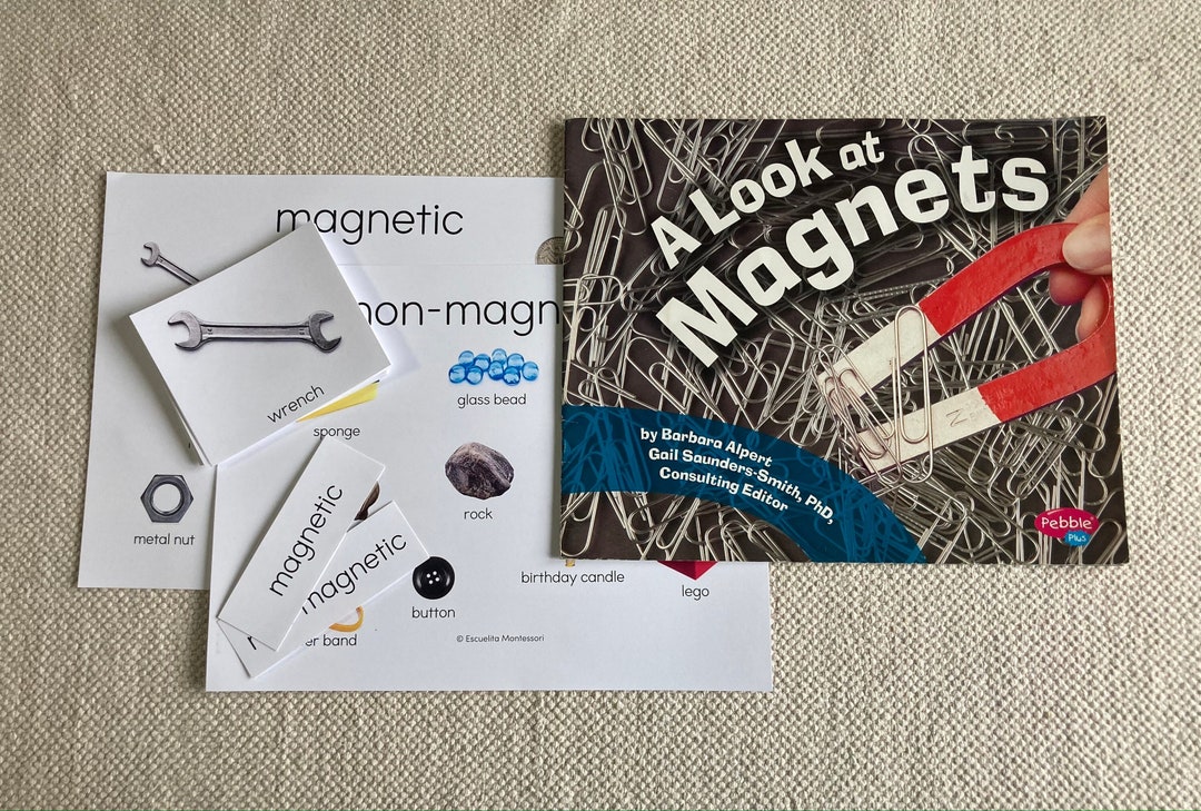 Magnetic and Non-magnetic Sorting Activity (english) - Etsy
