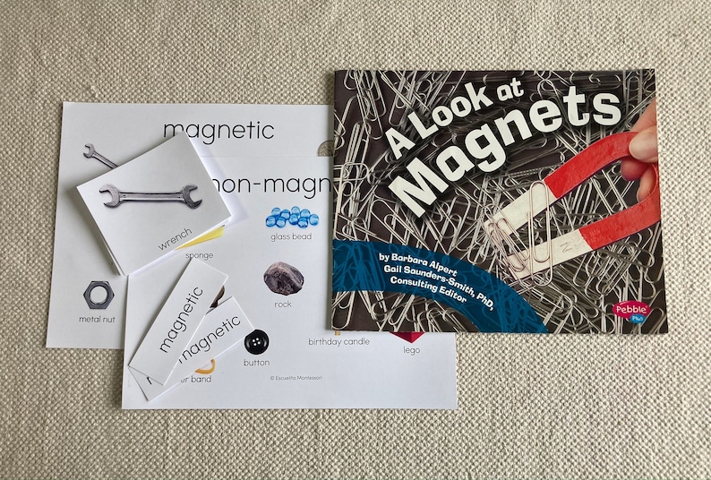 Magnetic and Non-magnetic Sorting Activity (english) - Etsy