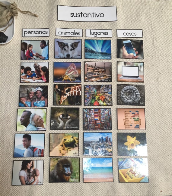 Nouns Sorting Cards spanish | Etsy