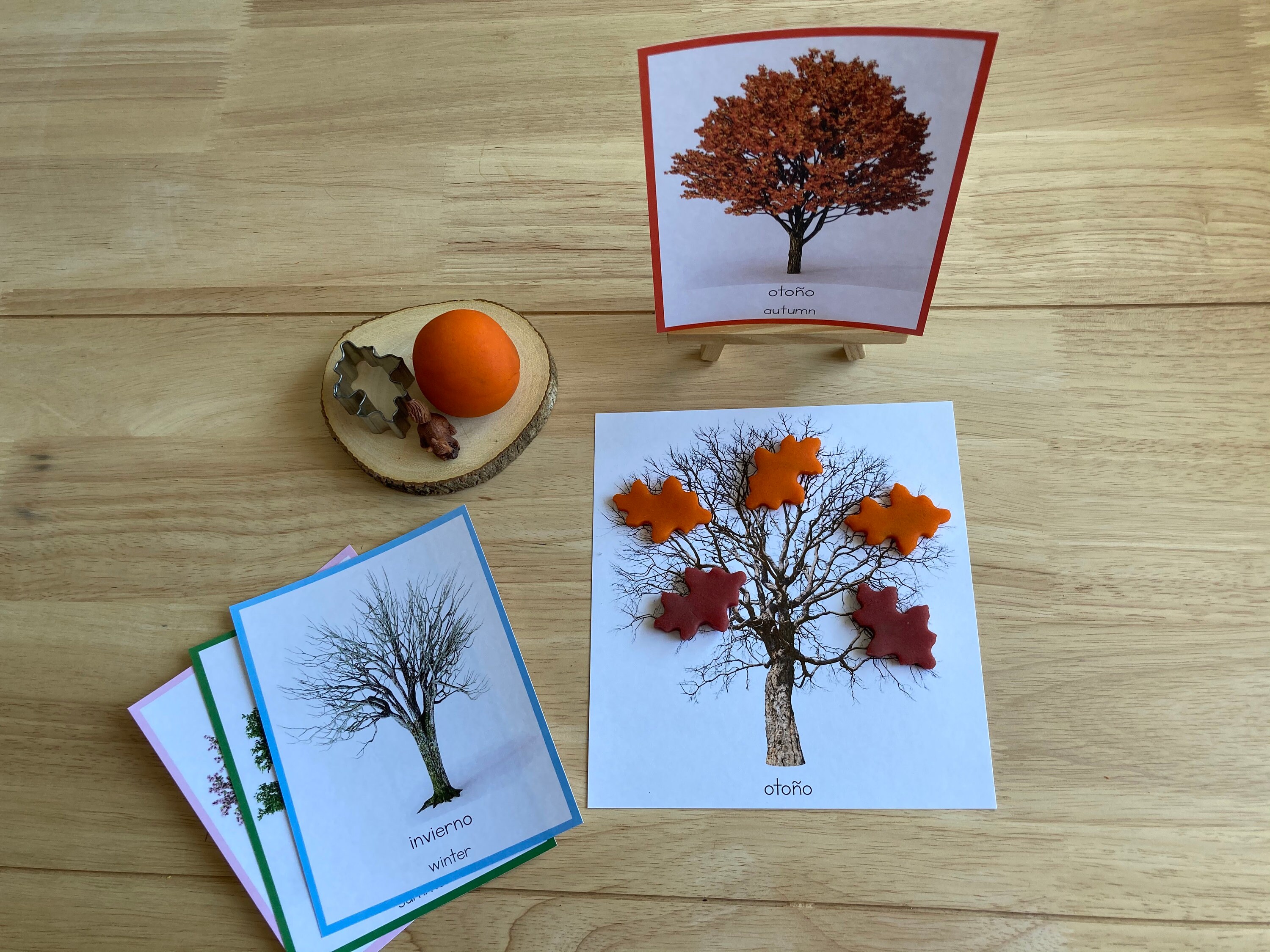 Four Seasons Activity Cards English, Spanish & Bilingual Option - Etsy