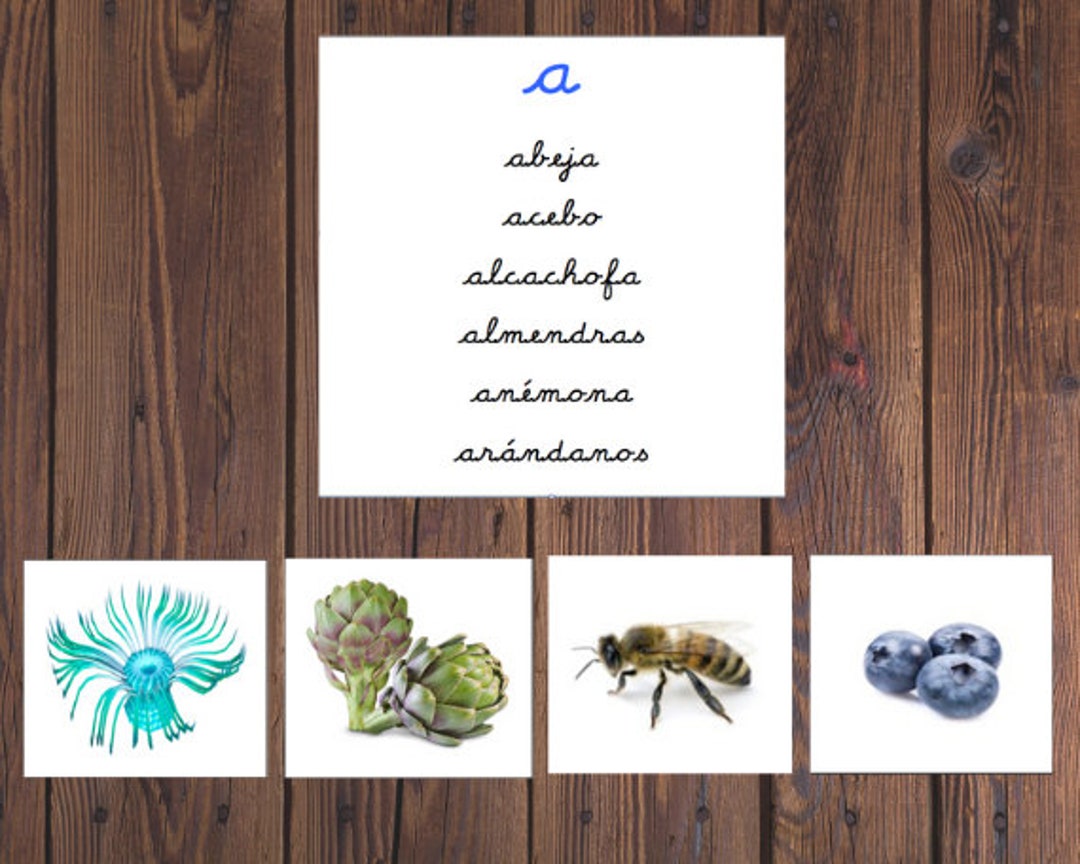 Initial Sound Alphabet Cards in Spanish - Etsy