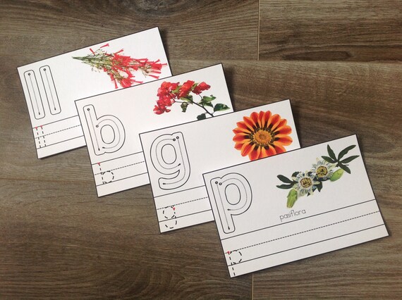 Flowers A-Z Alphabet Cards | Etsy