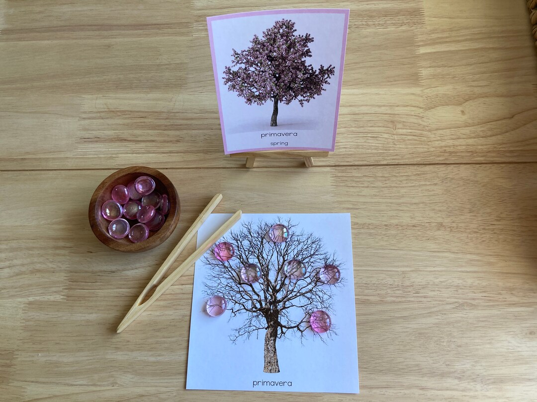 Four Seasons Activity Cards English, Spanish & Bilingual Option - Etsy
