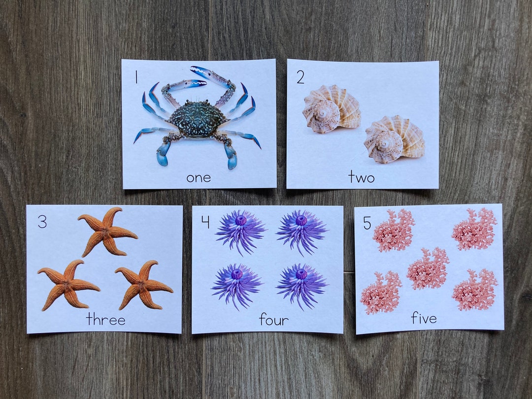 Sea Life Counting Cards (english) - Etsy
