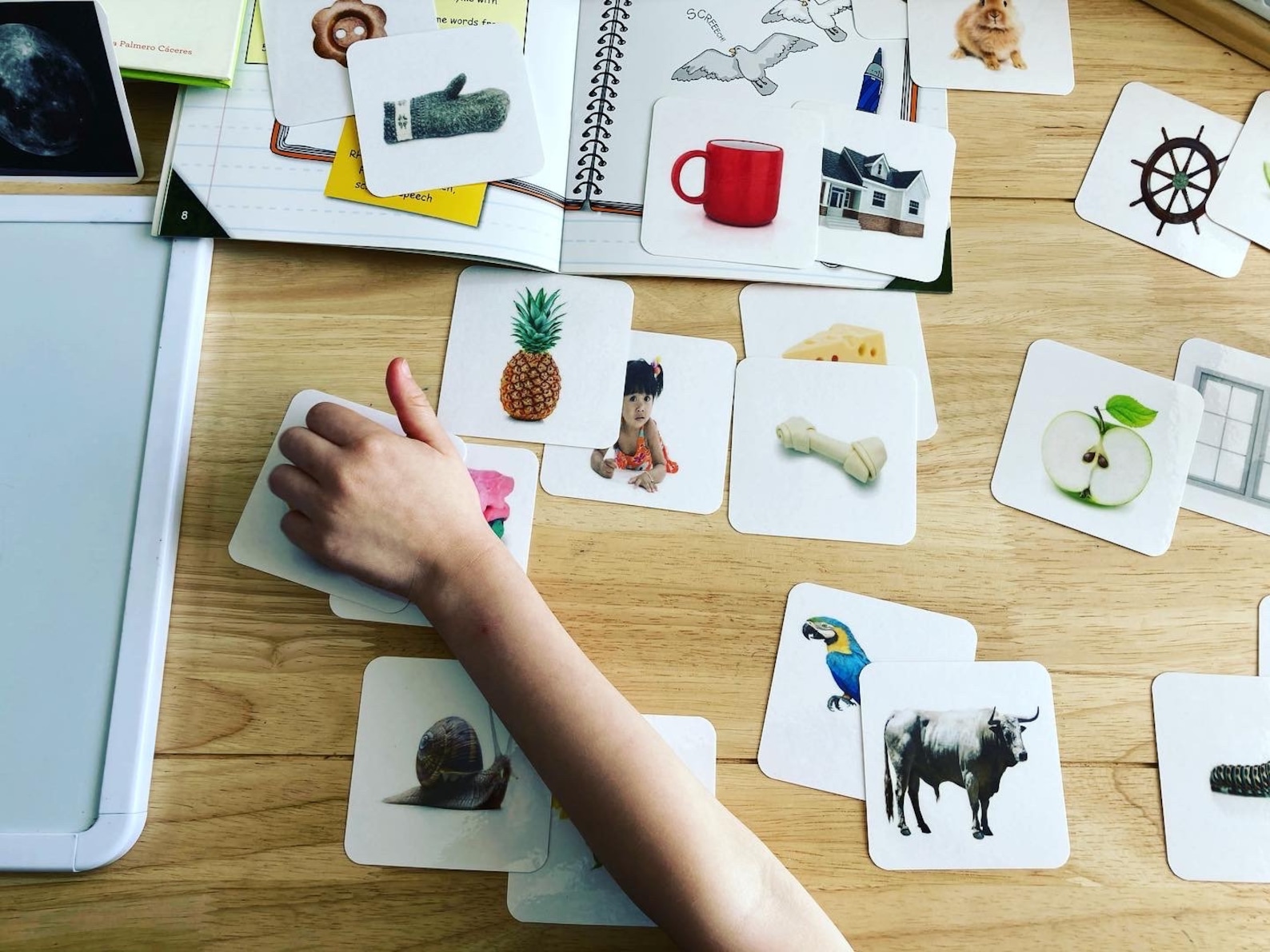 Rhyming Cards in Spanish/ Tarjetas De Rimas - Etsy