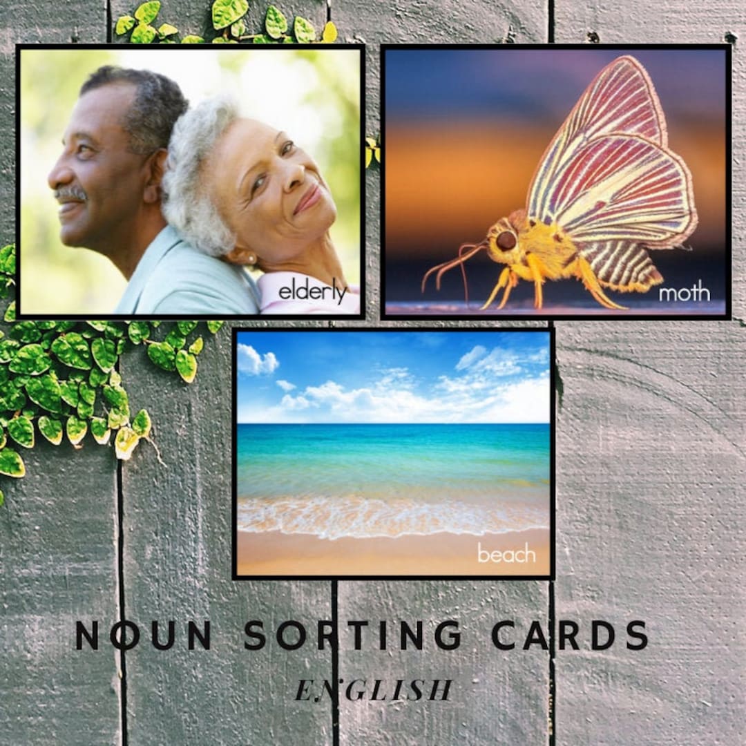 Noun Sorting Cards in English - Etsy