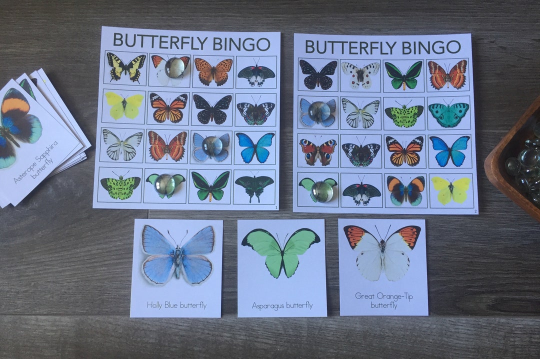 Butterfly Bingo Game - Etsy