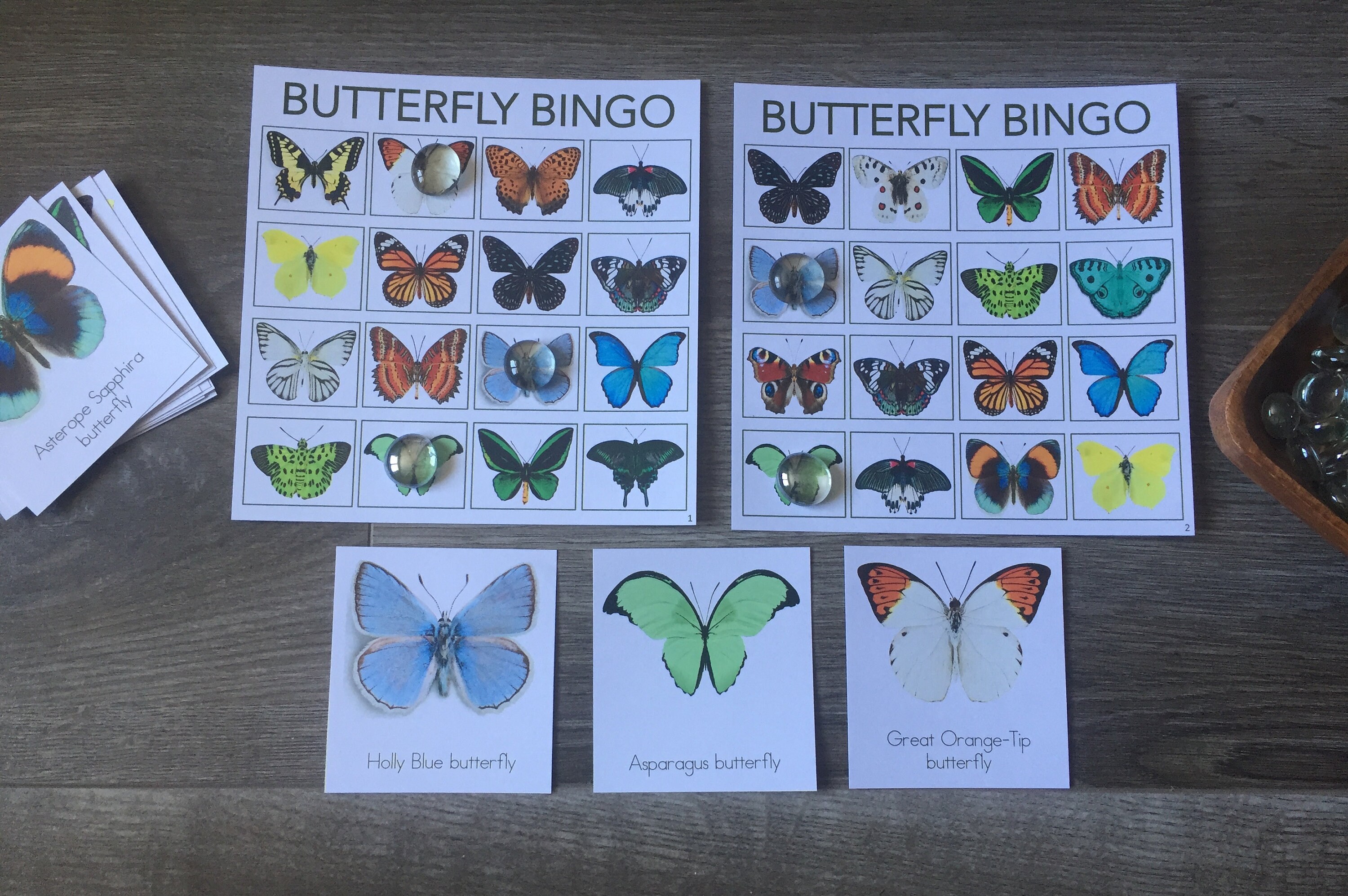 Butterfly Bingo Game - Etsy