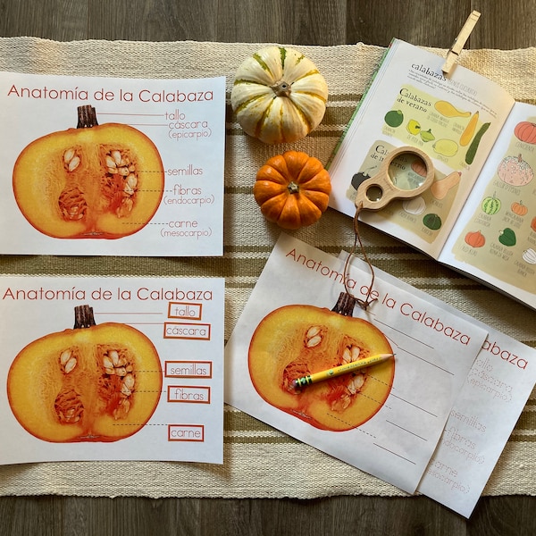 Spanish Homeschool - Etsy