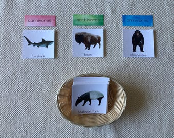 Carnivores, Omnivores, Herbivores of North America Sorting Cards ...