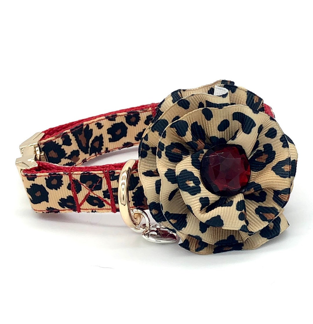 Leopard Dog Collar Leopard Dog Collection Cute Dog Collar - Etsy