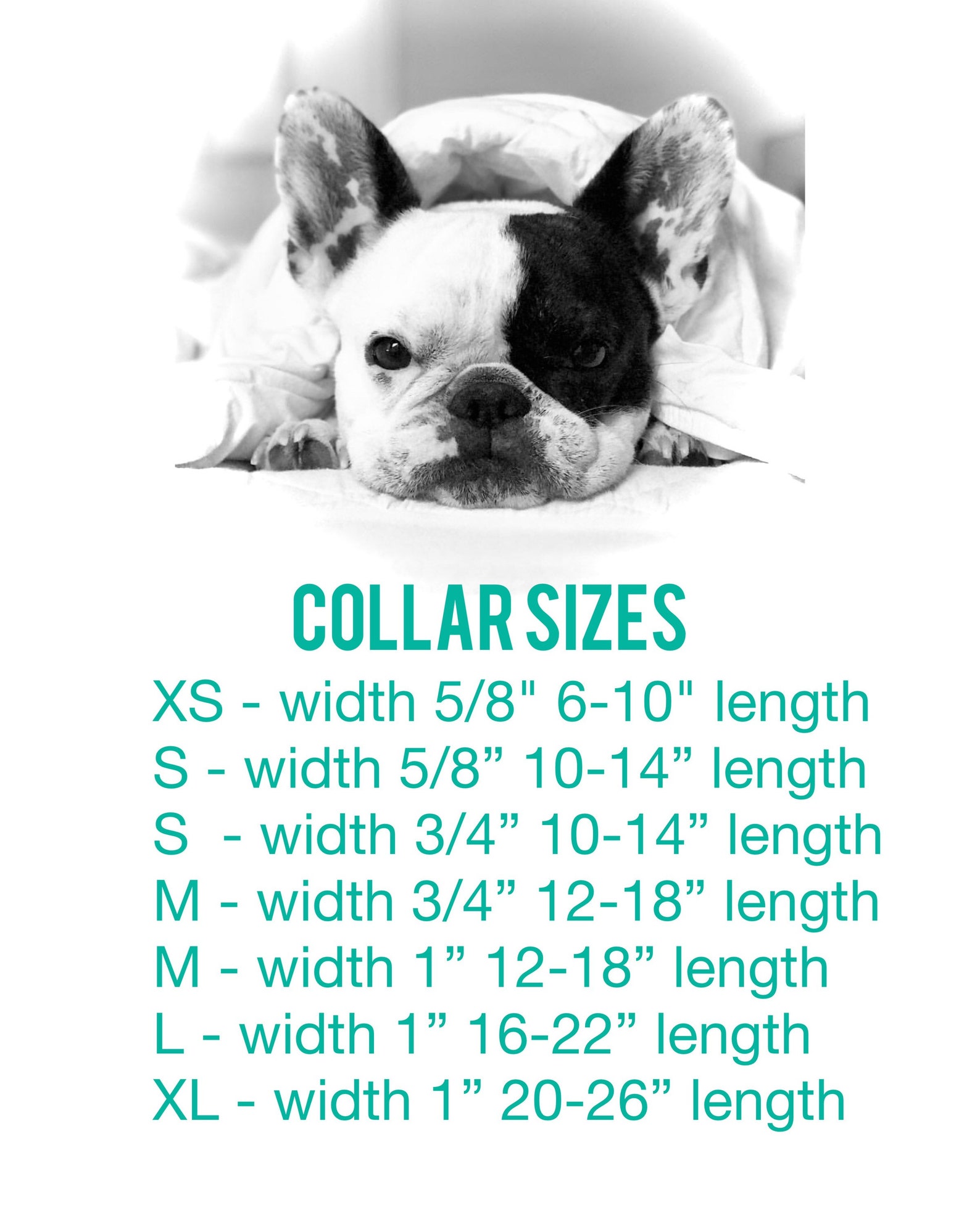 USMC Dog Collar Navy Dog Collar Army Dog Collar Air - Etsy