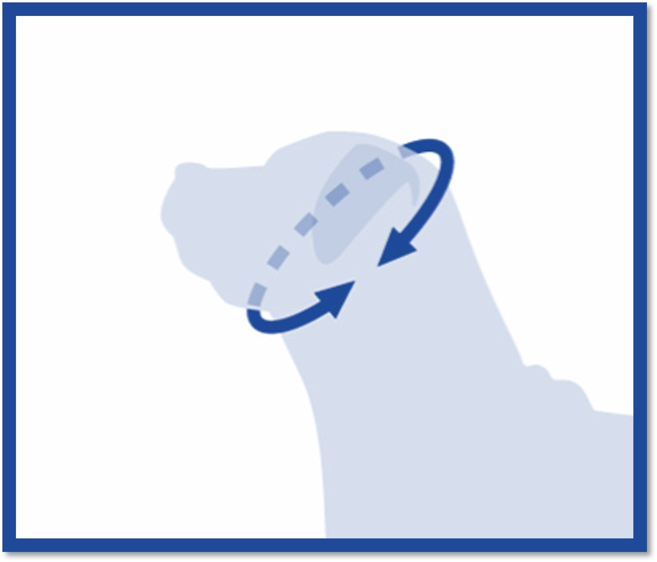 Ocean Ombré Beaded Collar Unique Dog Collar - Etsy