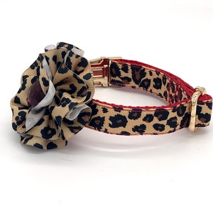 Leopard Dog Collar Leopard Dog Collection Cute Dog Collar - Etsy