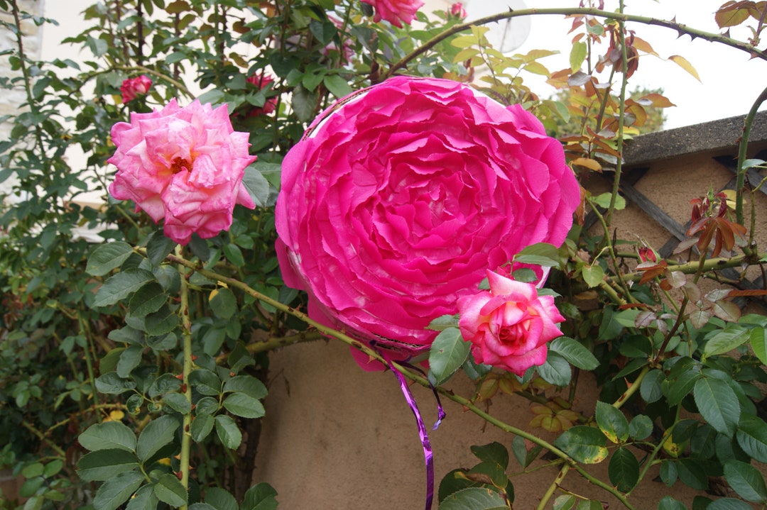 Piñata Fleurs Rose - Etsy