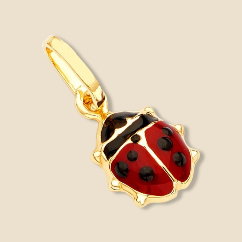 Enamel Ladybird Pendant - Etsy