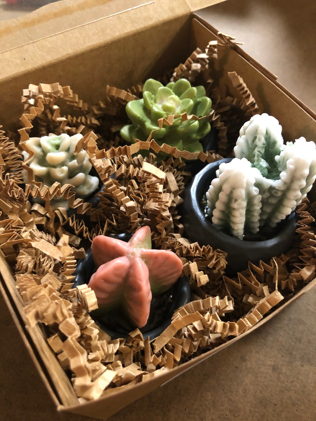 Potted Succulent Soaps 4 Pack - Etsy