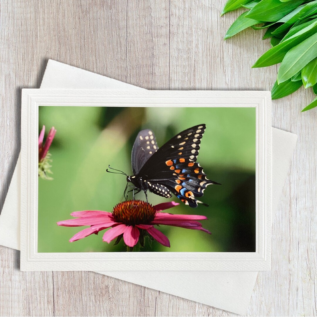 Photo Card, Note Card, Nature Photo Card, Stationery, Nature Note Card ...
