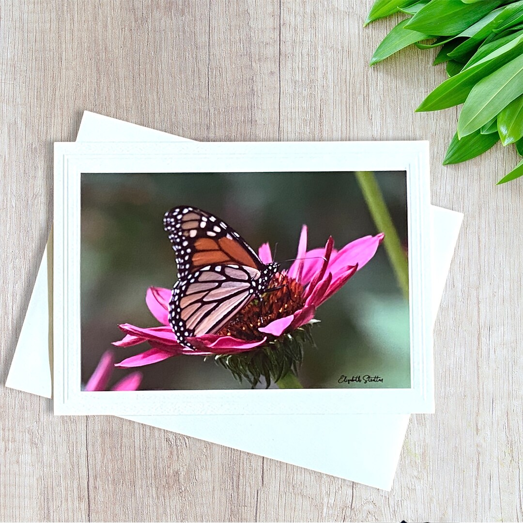 Photo Card, Note Card, Nature Photo Card, Stationery, Nature Note Card ...