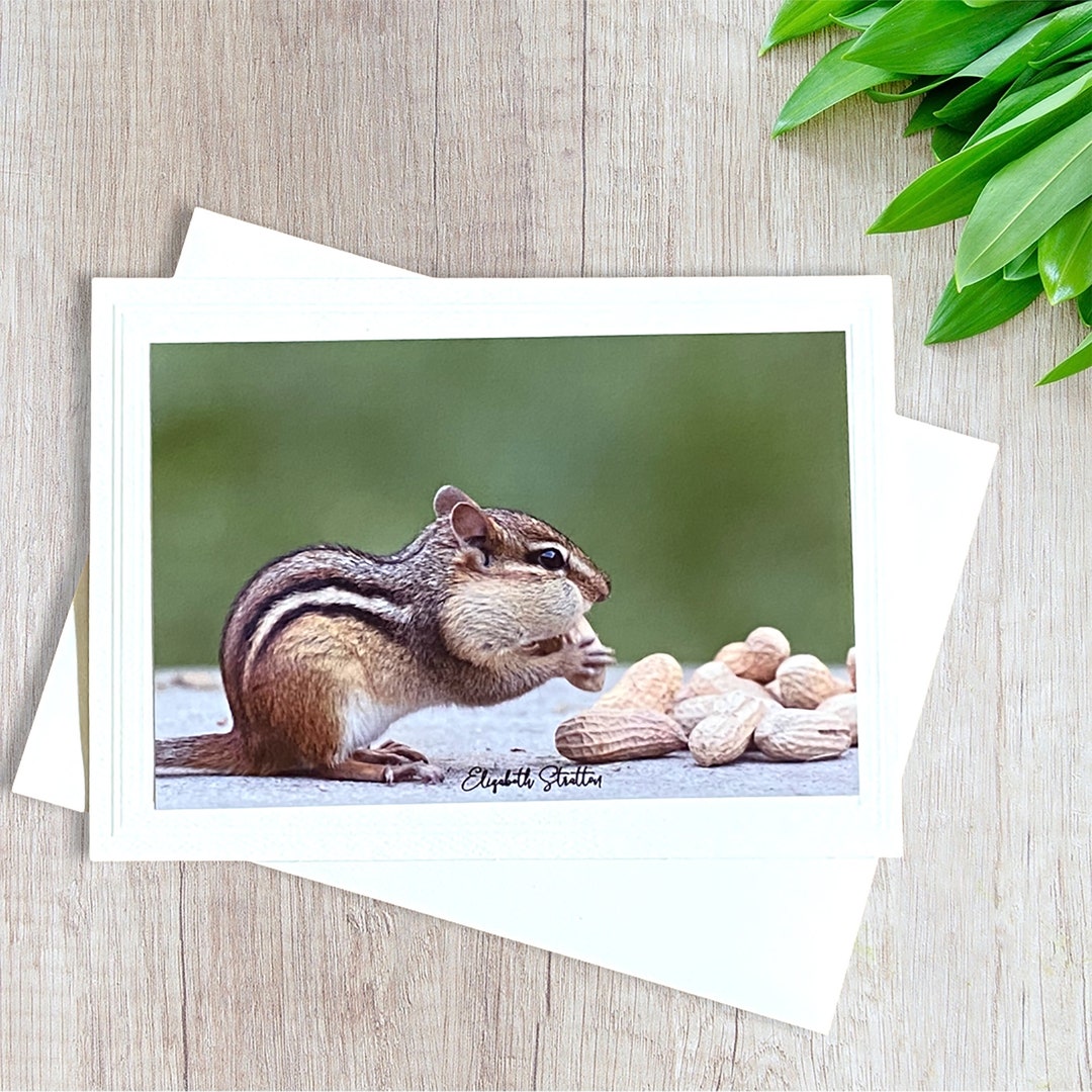 Photo Card, Note Card, Nature Photo Card, Stationery, Nature Note Card ...