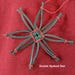 Double Spoked Star Pattern - Etsy