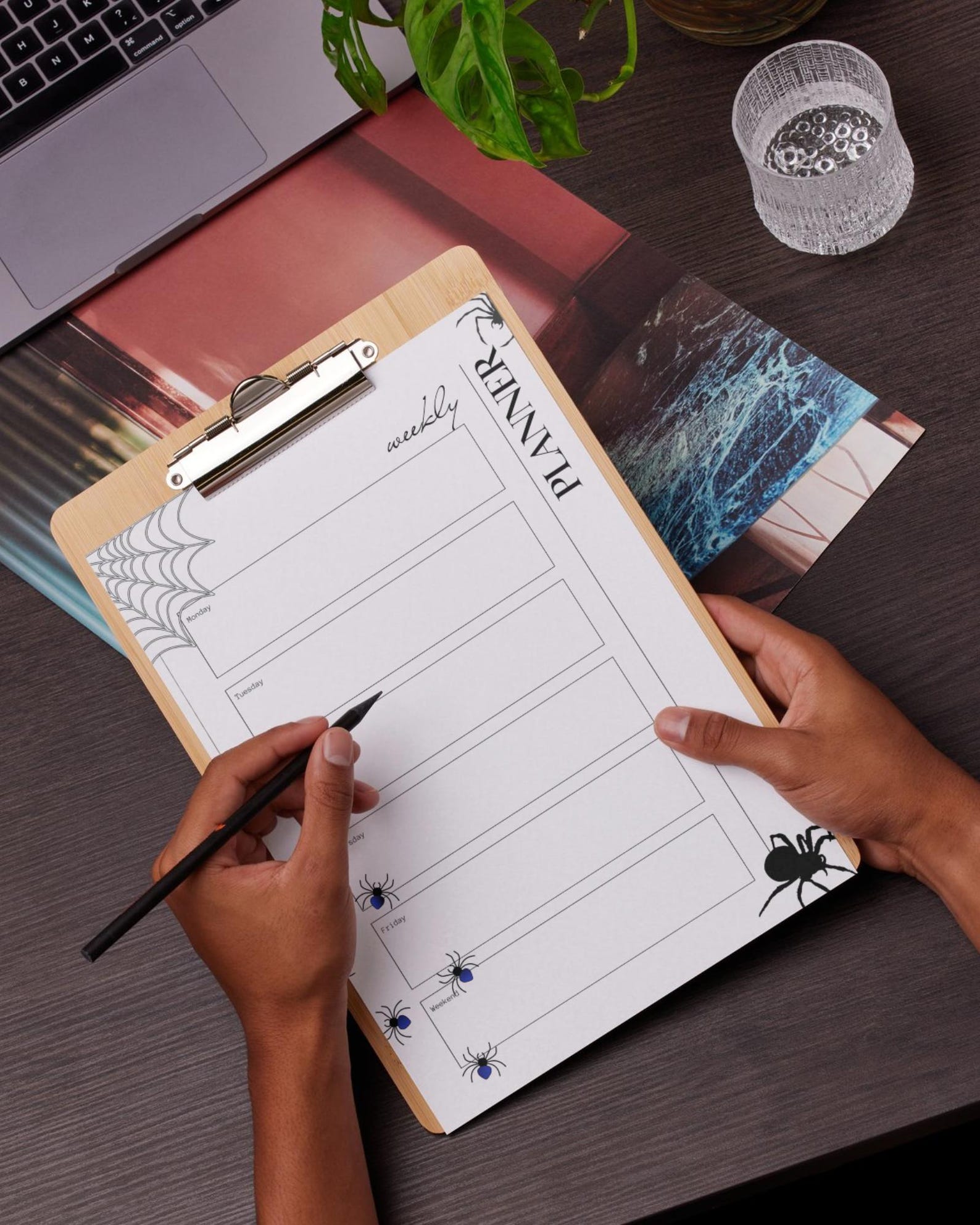 Spider Planner Single Page Download. Weekly Planner/ Spiders/ Halloween ...