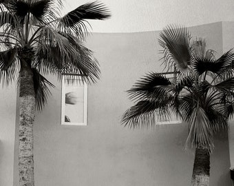 Black white sepia | Etsy