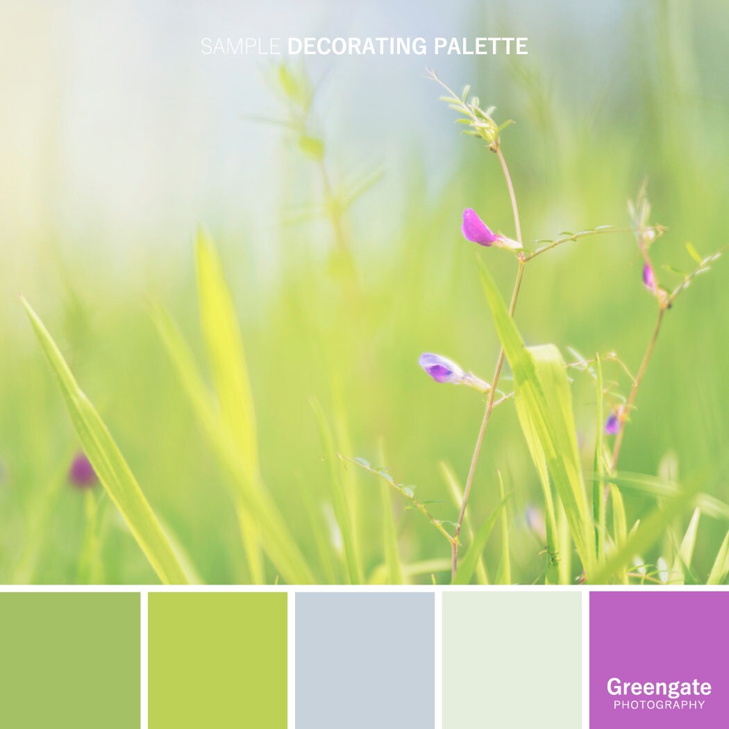 Grass Photo Print spring green grass wall decor botanical | Etsy